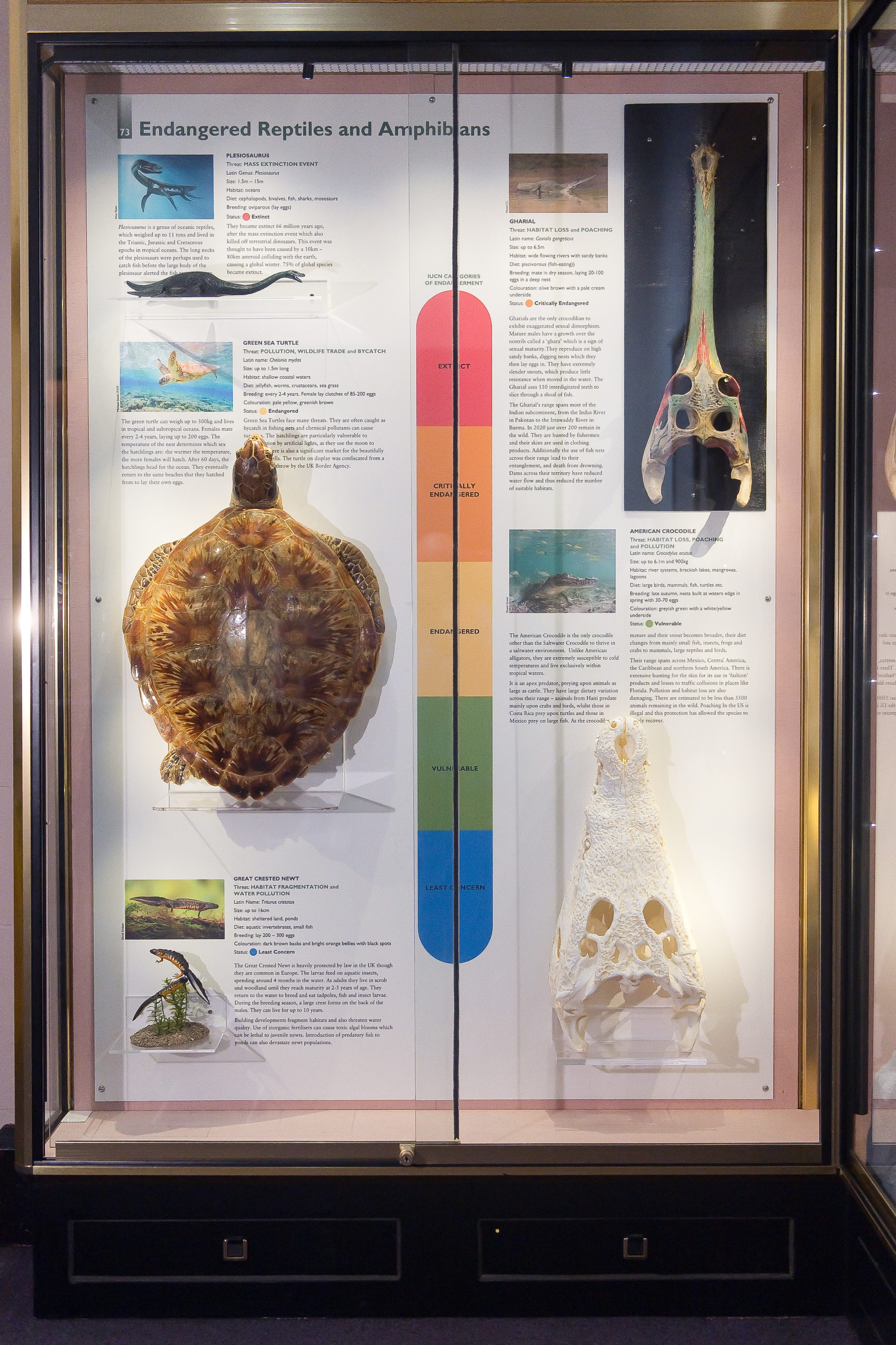 The Road to Extinction: New Display at the Natural History Museum ...