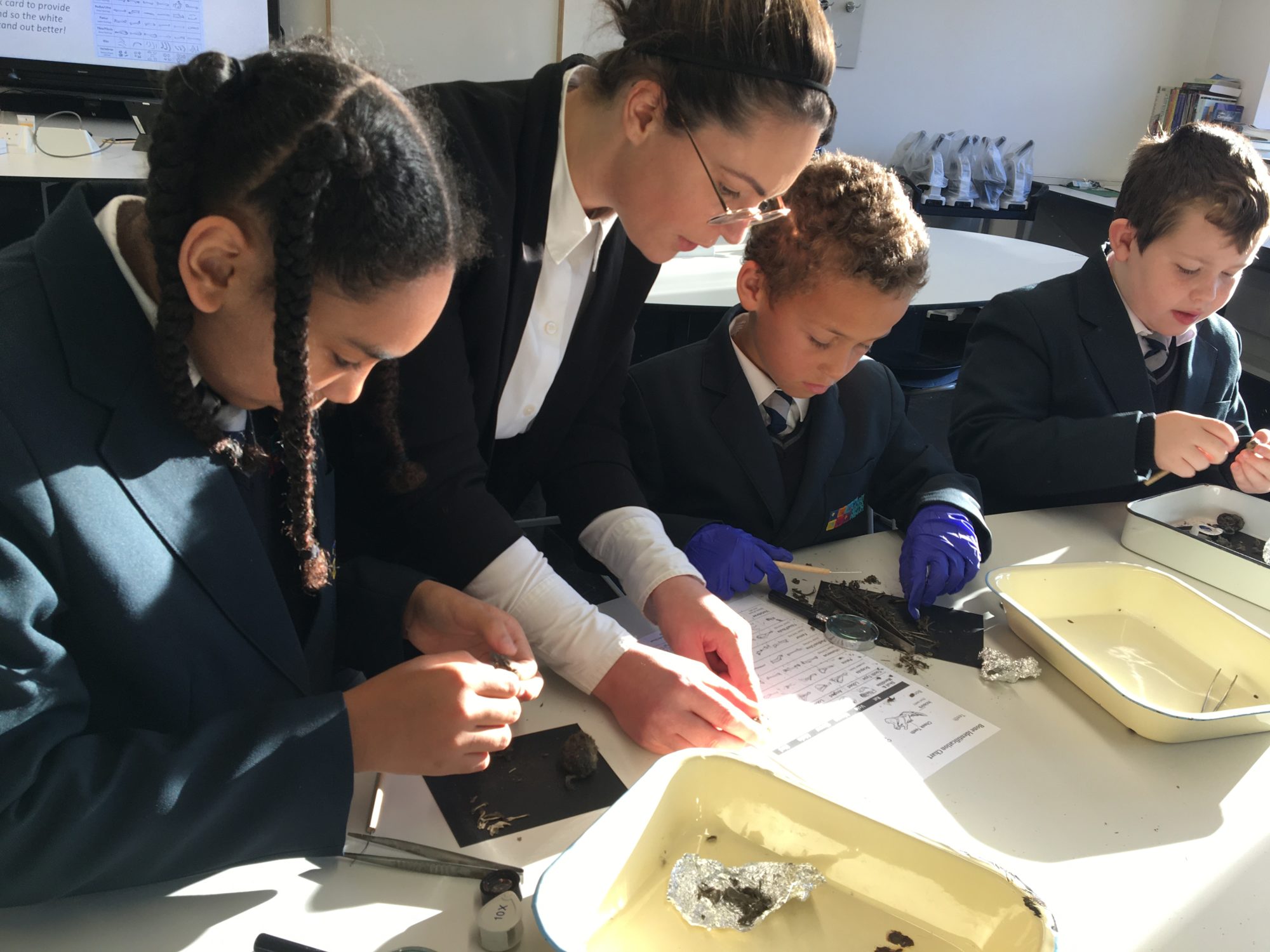 Primary School Science Visit - Eton College