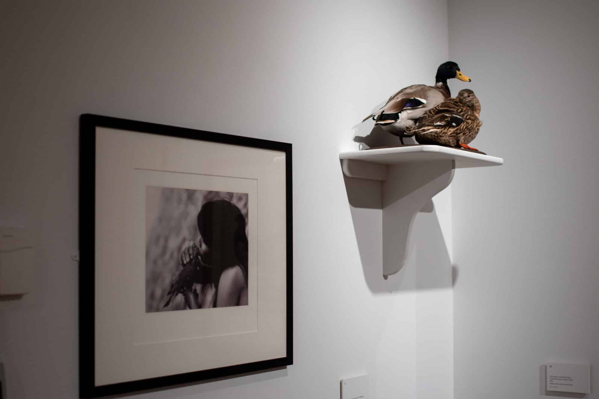 An Insight into the Mind of an Artist - Eton College